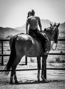 Understanding Your Horse: A Guide to Horse Personalities | The Savvy ...